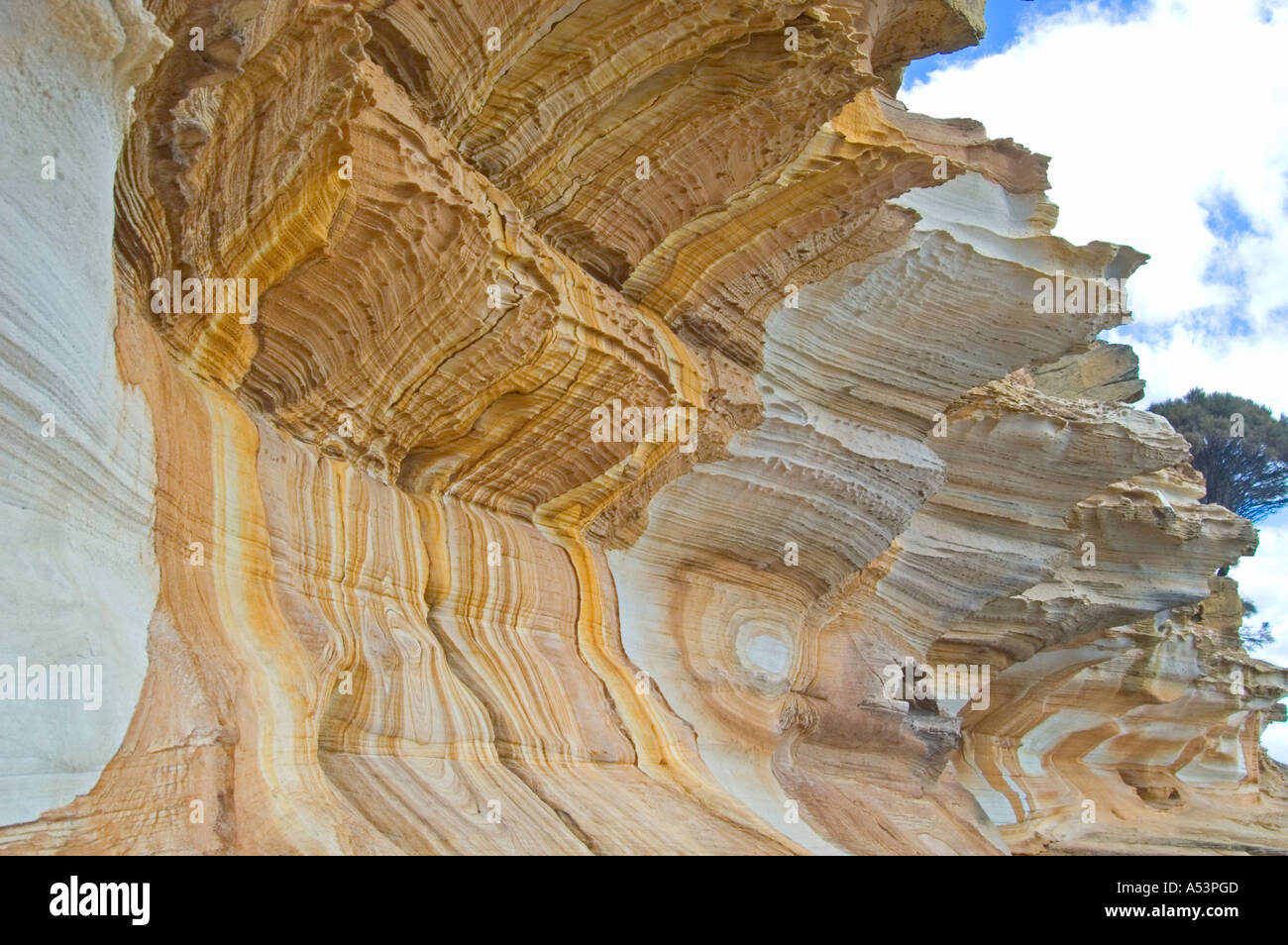 Painted cliffs in Maria Island Nationalpark Tasmania Australia Stock ...