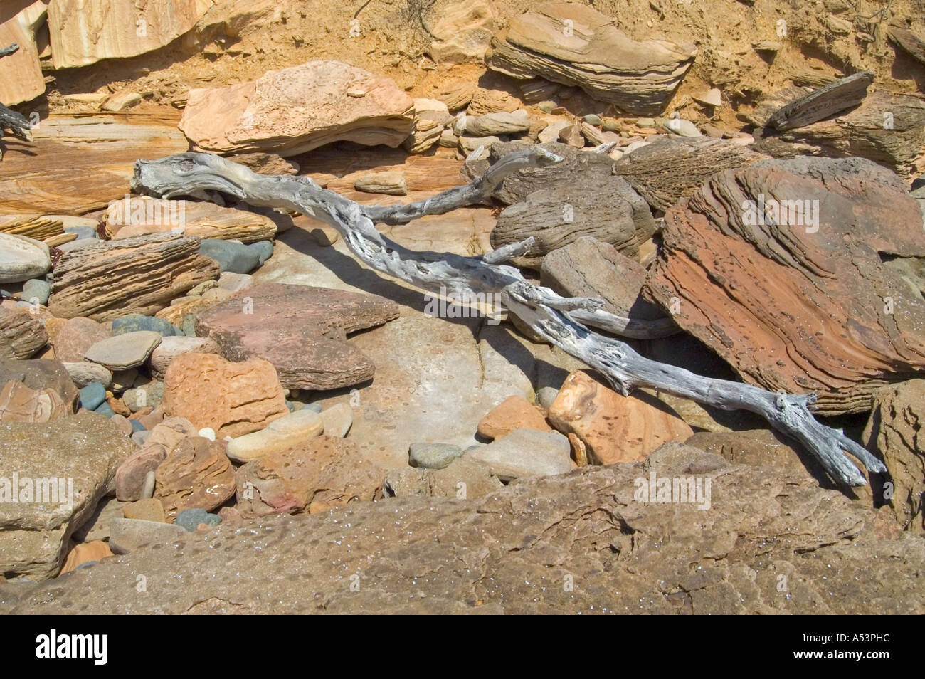 Painted cliffs in Maria Island Nationalpark Tasmania Australia Stock ...