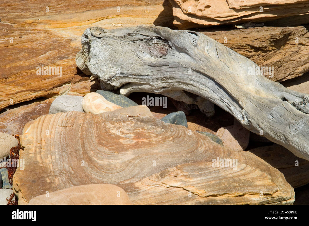 Painted cliffs in Maria Island Nationalpark Tasmania Australia Stock ...