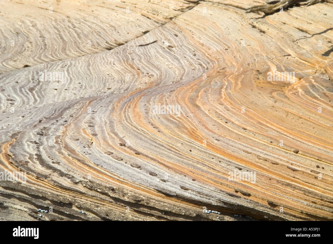 Painted cliffs in Maria Island Nationalpark Tasmania Australia Stock ...
