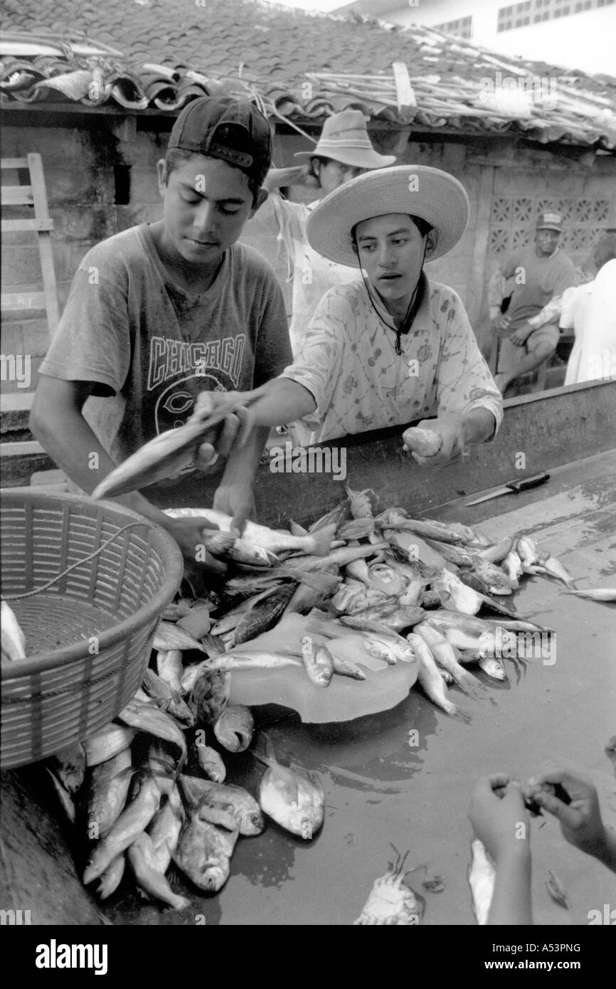Emerging fish Black and White Stock Photos & Images - Alamy