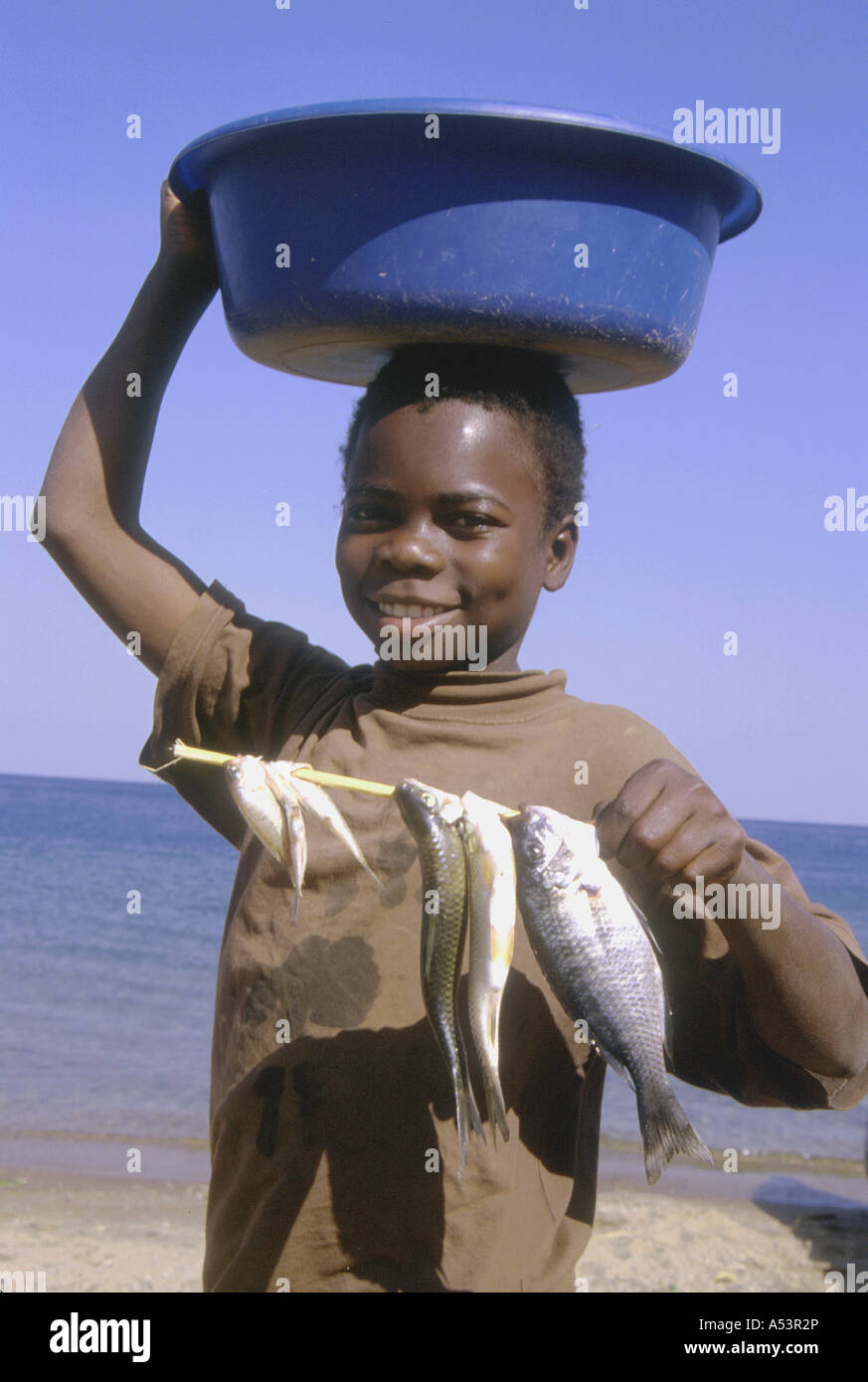 Immortal fish hi-res stock photography and images - Alamy