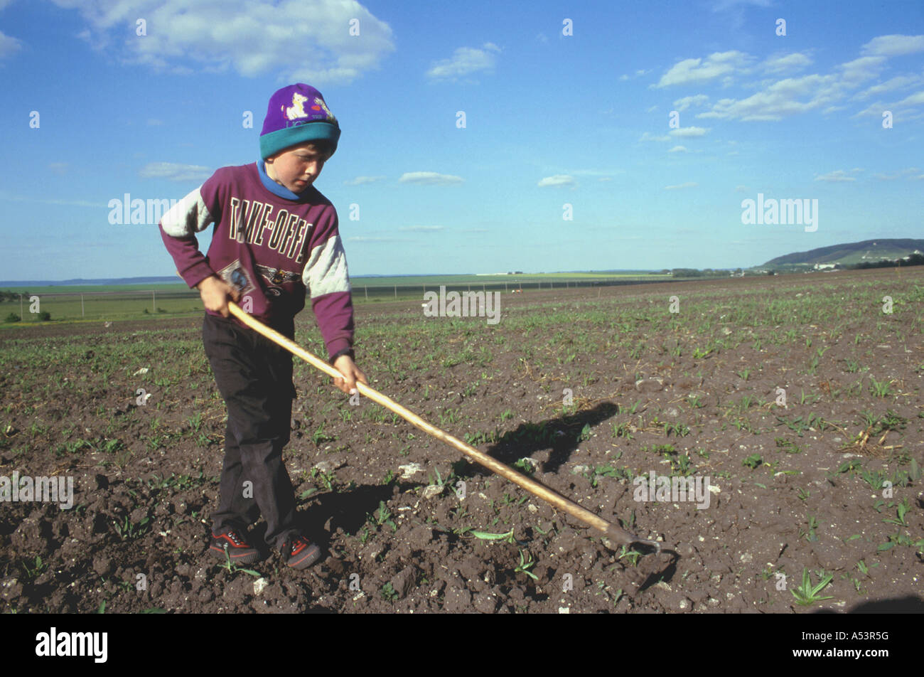 Painet ha1777 3542 child labor boy farming zolochov ukraine country ...
