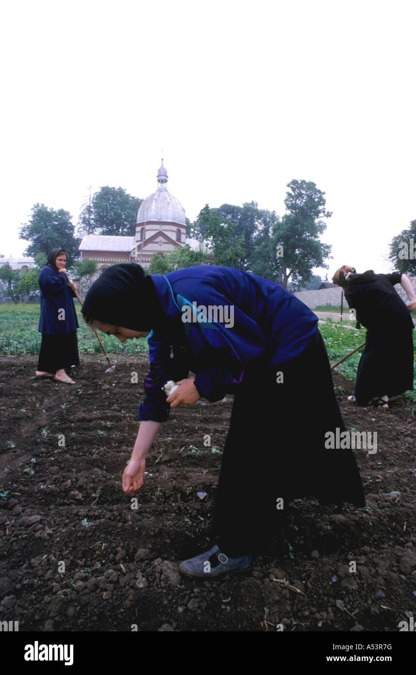 Painet ha1801 3568 farming greek catholic nuns monastery land ternopil ...