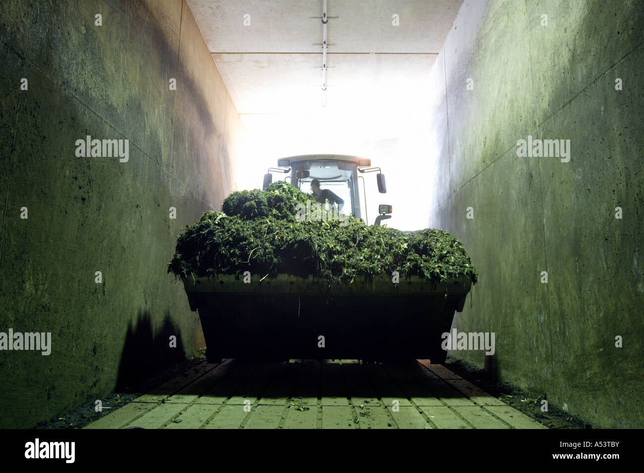 Tunnel composting tunnel hi-res stock photography and images - Alamy
