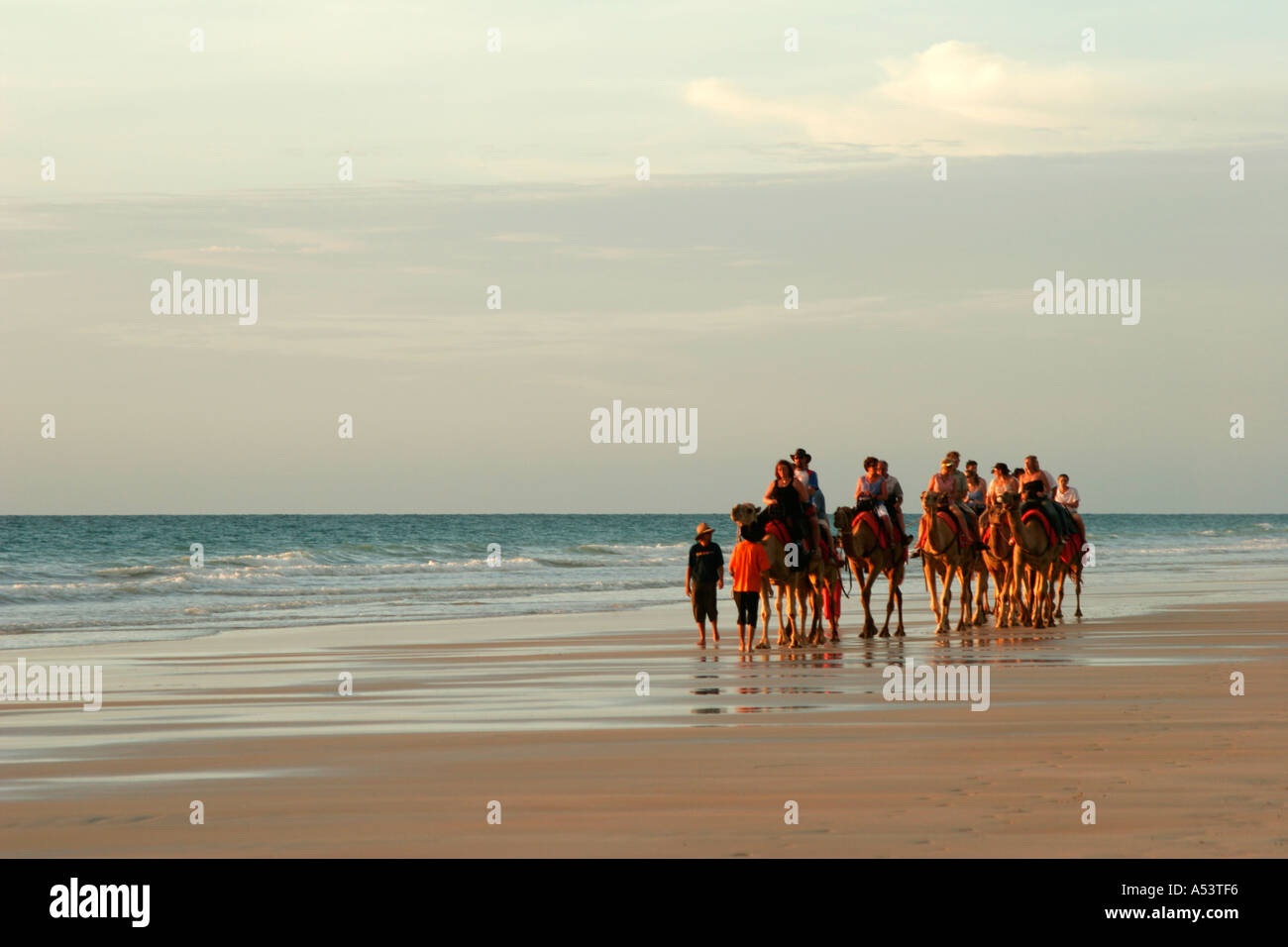 Broome camels shadows hi-res stock photography and images - Alamy