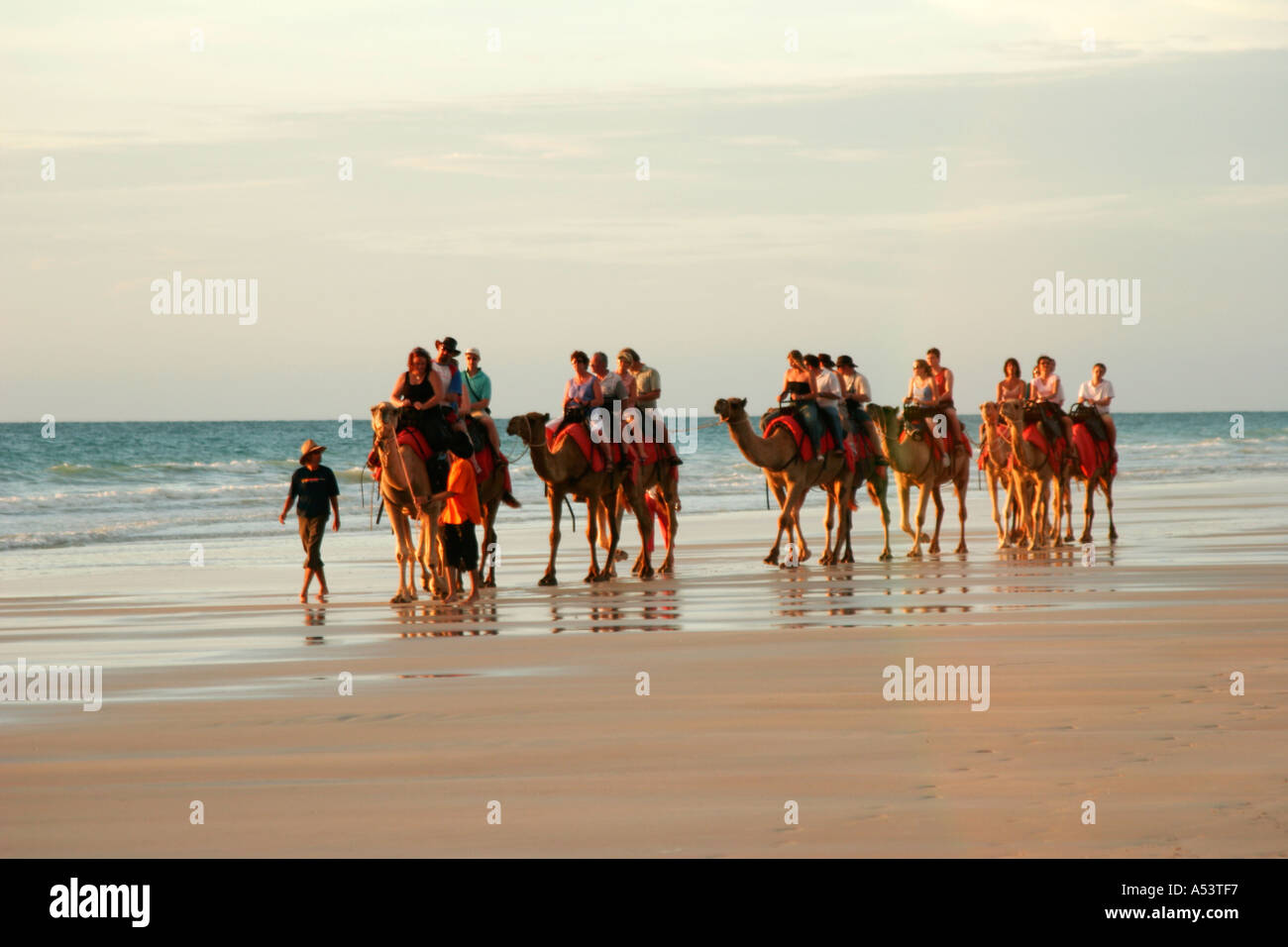 Broome camels shadows hi-res stock photography and images - Alamy