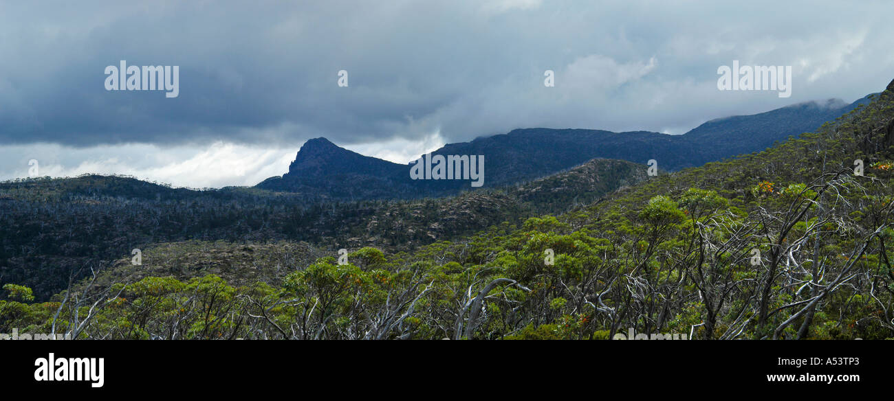 The Labyrinth near Pine Valley on Overland Track in Cradle Mountain ...