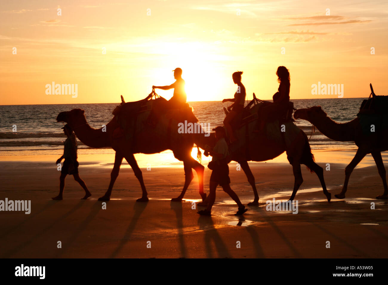 Camel trekking australia hi-res stock photography and images - Alamy