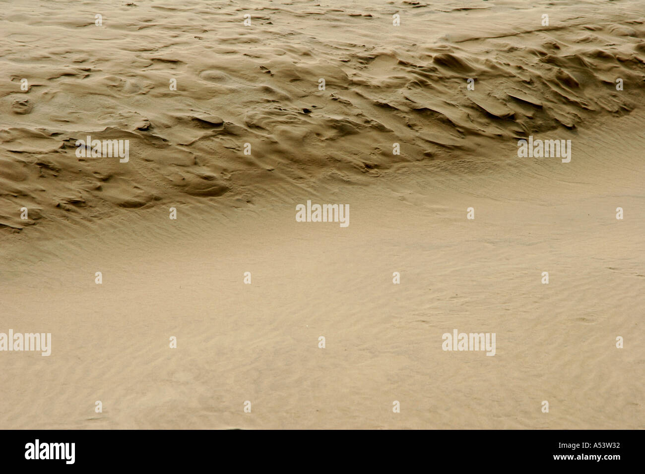 Dunes at Camber Sand in the united kingdom Stock Photo - Alamy