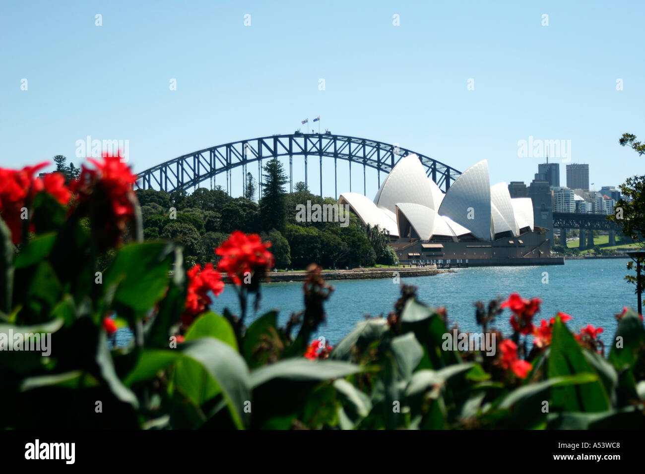 Sydney opera house and harbour harbor bridge in australia Stock Photo ...