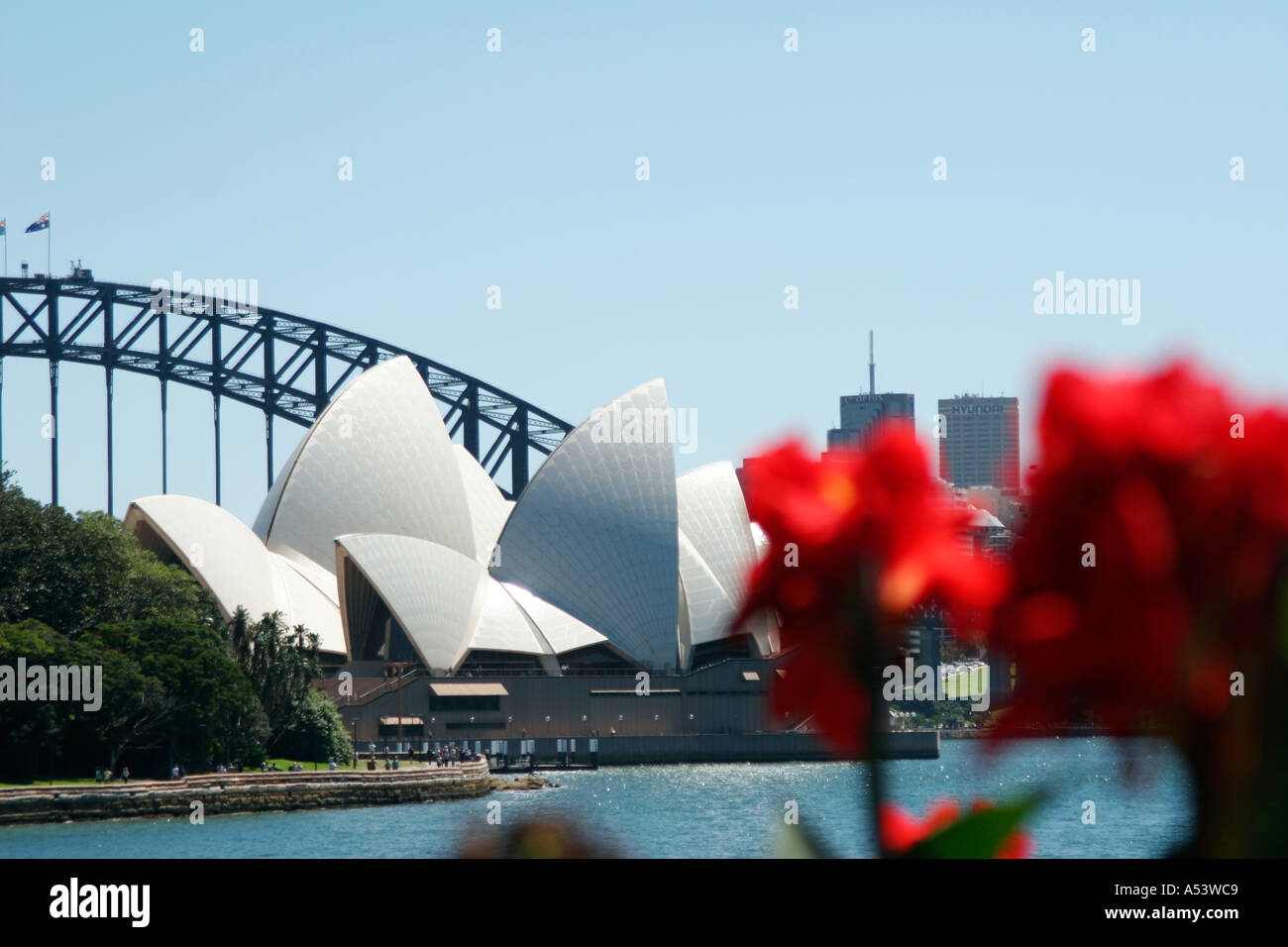 Sydney opera house and harbour harbor bridge in australia Stock Photo ...