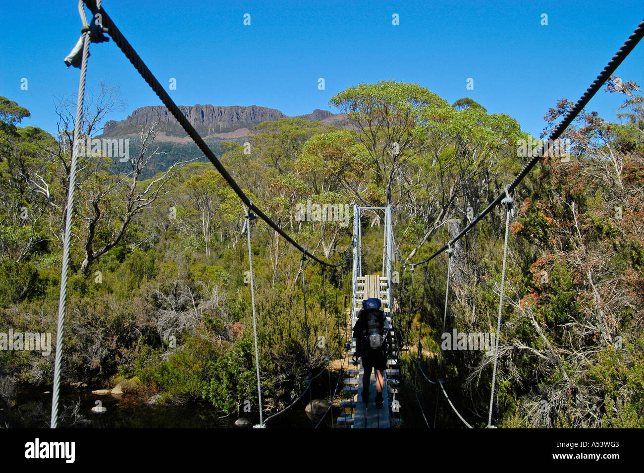 Rope bridge to cross river hi-res stock photography and images - Alamy