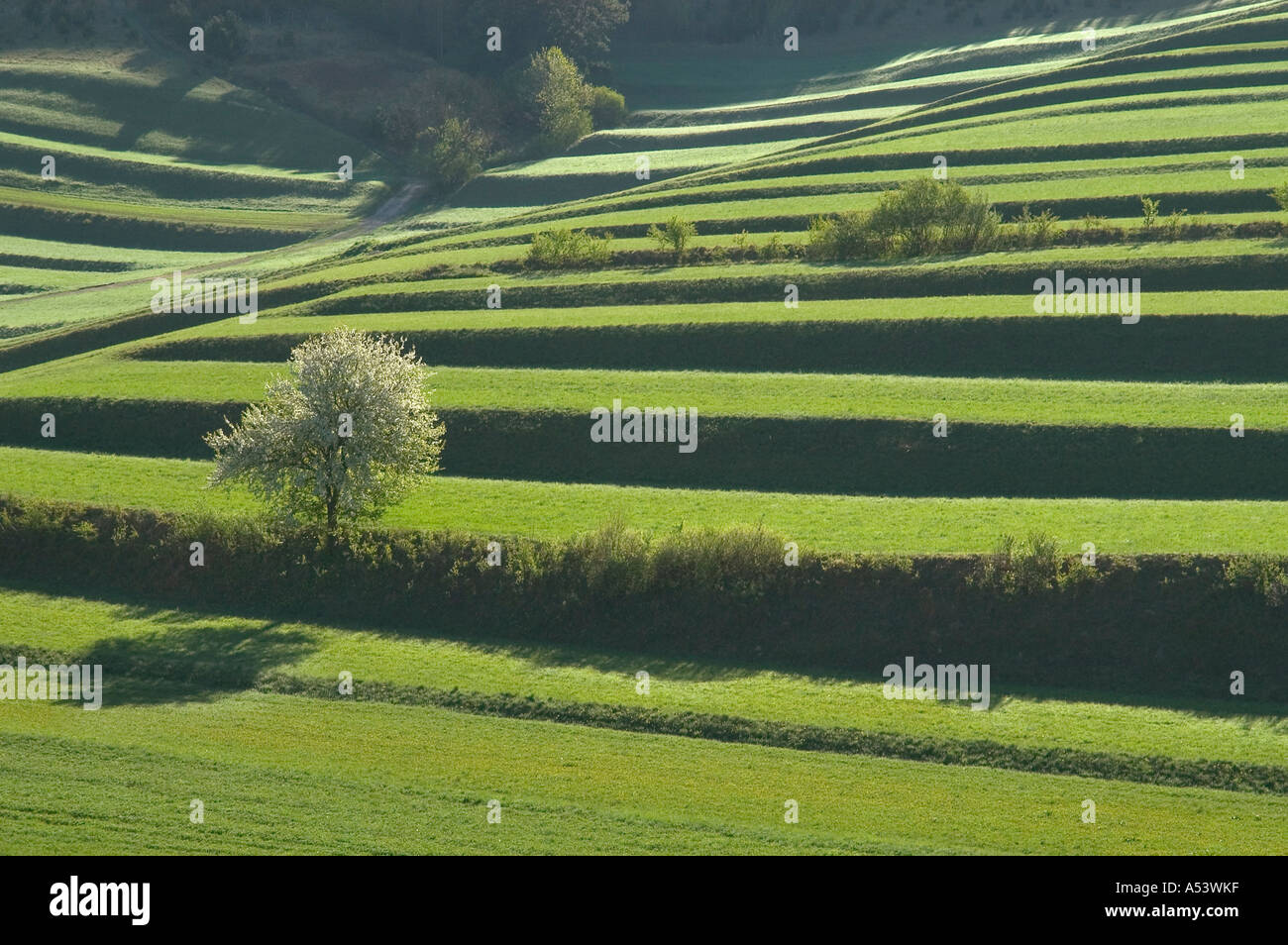 Piesting valley hi-res stock photography and images - Alamy