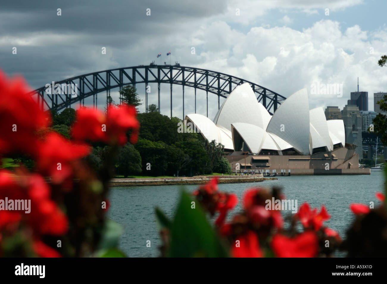 Sydney opera house and harbour harbor bridge in australia Stock Photo ...