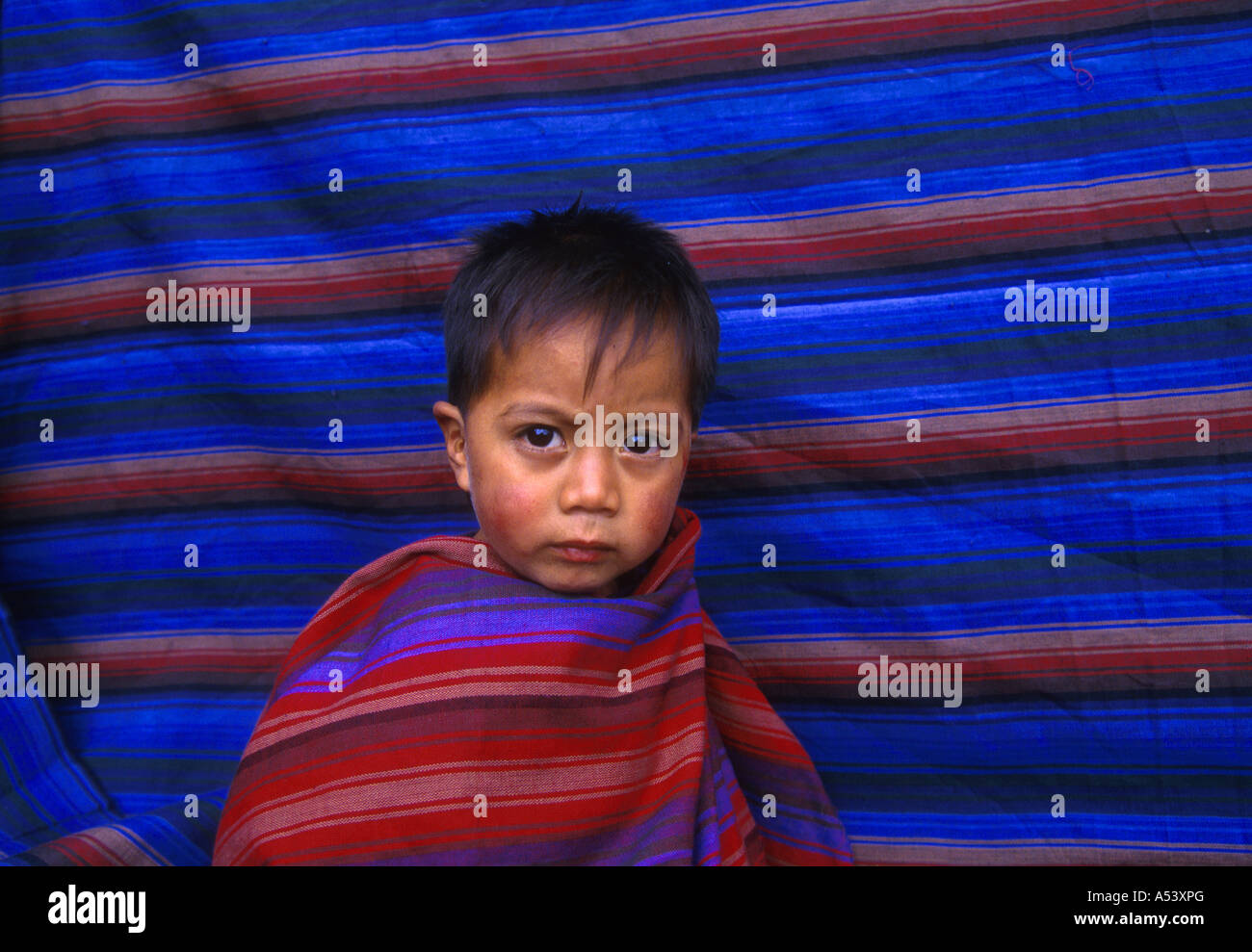 Painet ha2289 5111 guatemala children boy quetzaltenango posed cloth ...