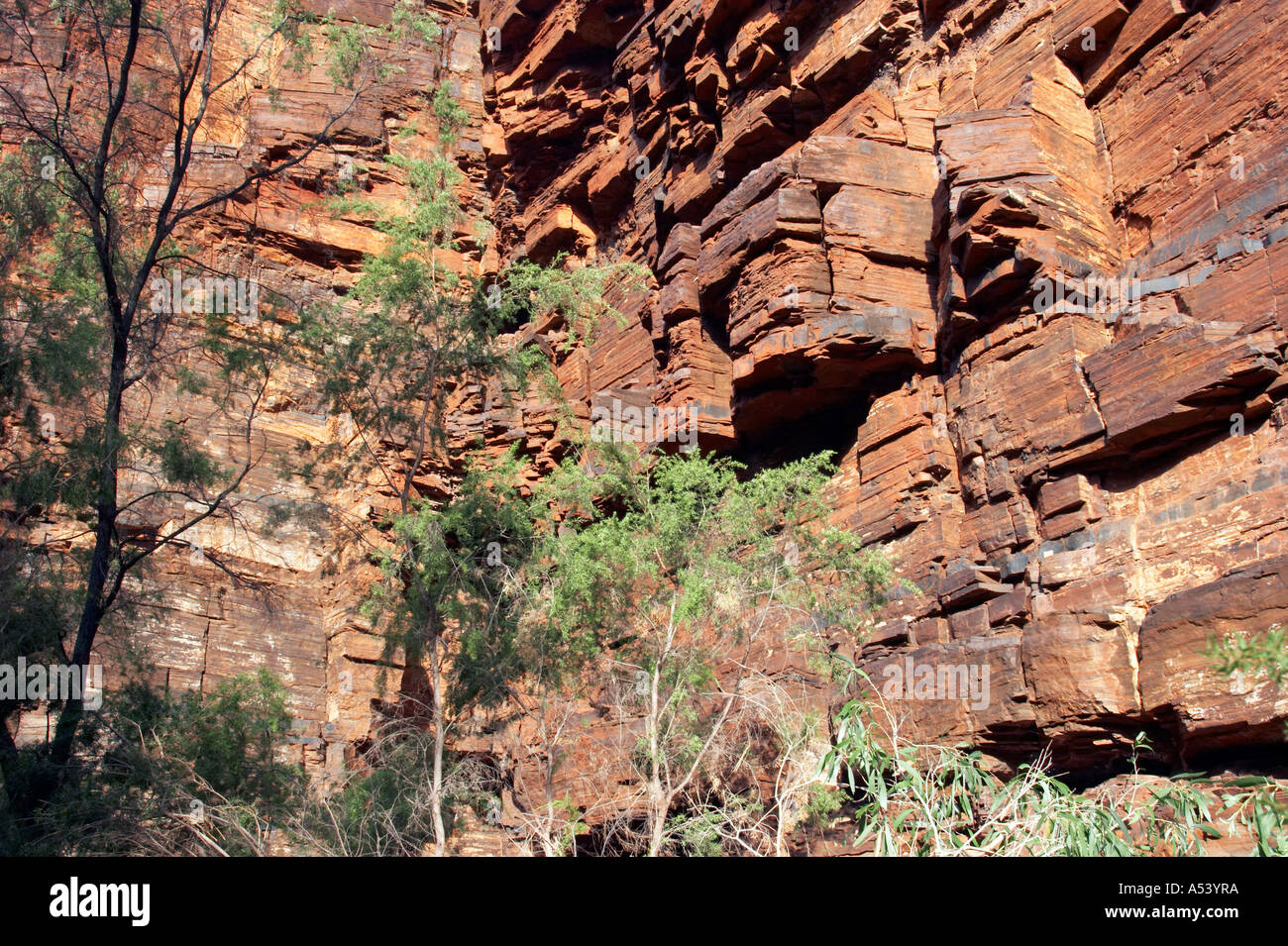 Red rocks in Dales Gorge Karijini National Park Pilbara region western ...