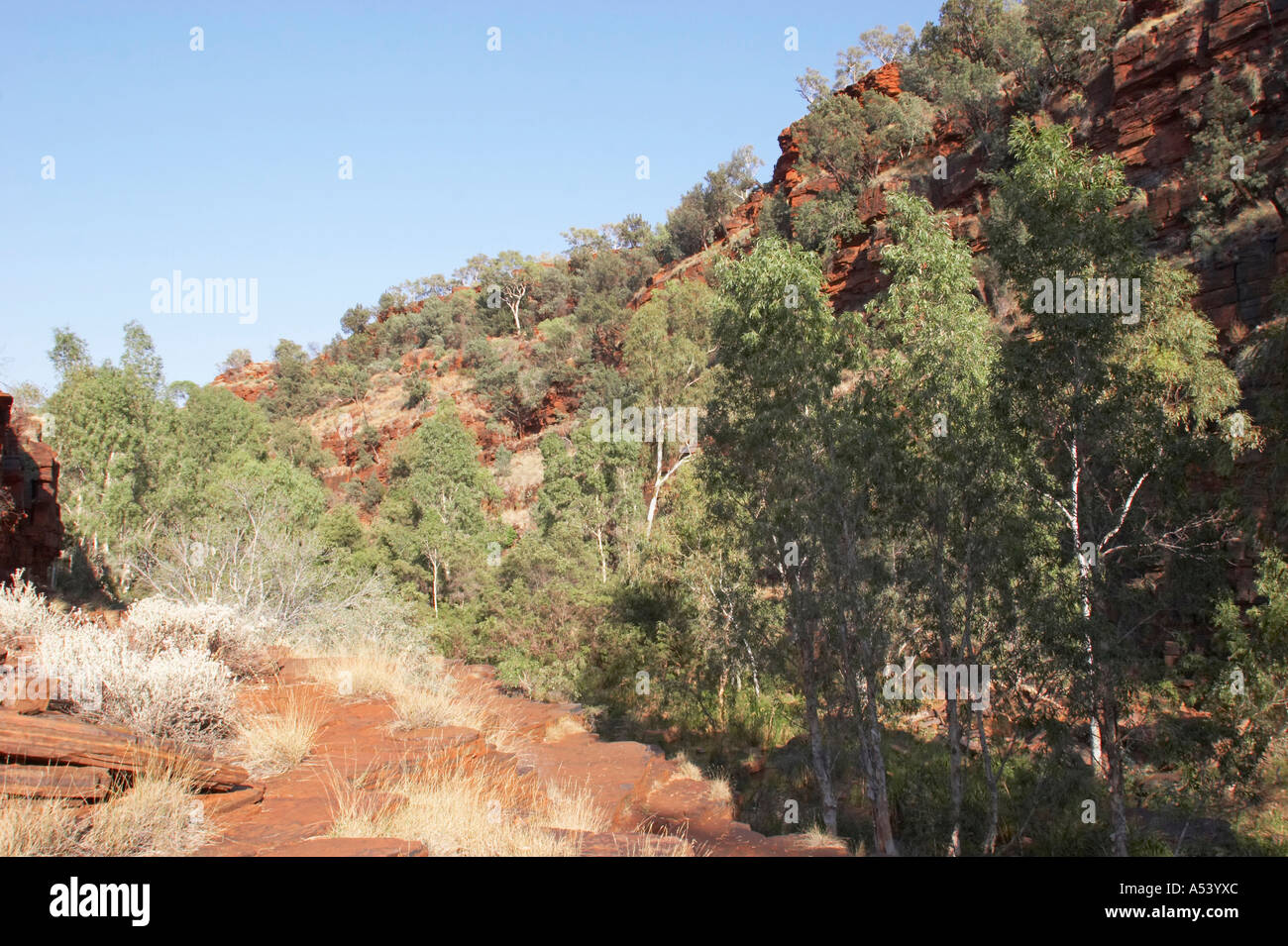 Dales Gorge Karijini National Park Pilbara region western australia WA ...