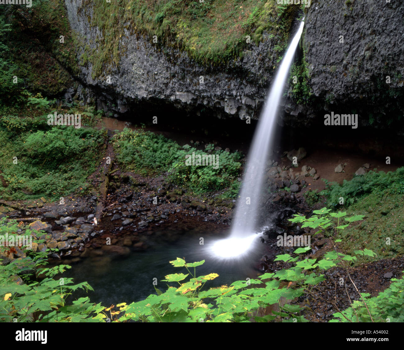 Horsetail falls trail hi-res stock photography and images - Alamy