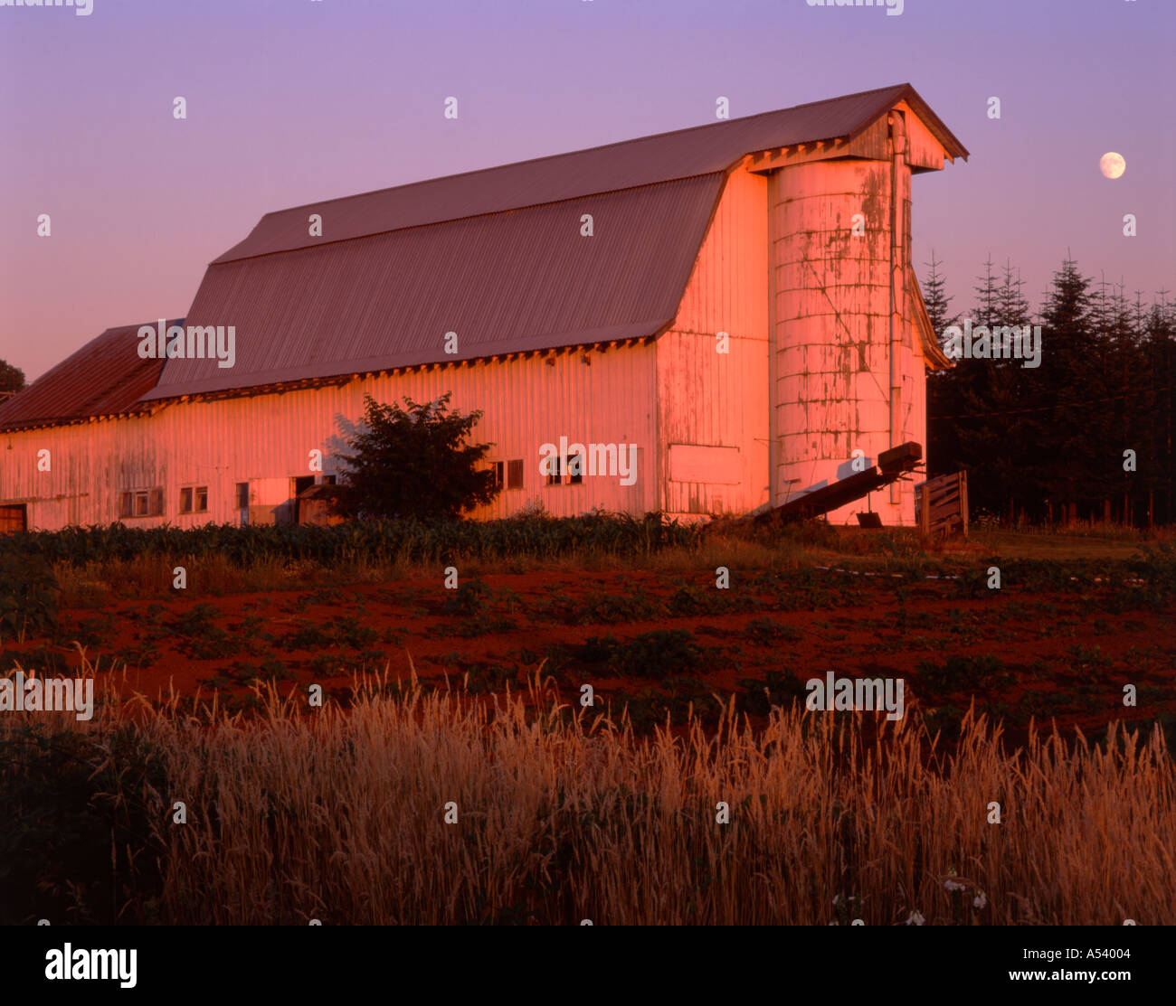 Moon dances hi-res stock photography and images - Alamy