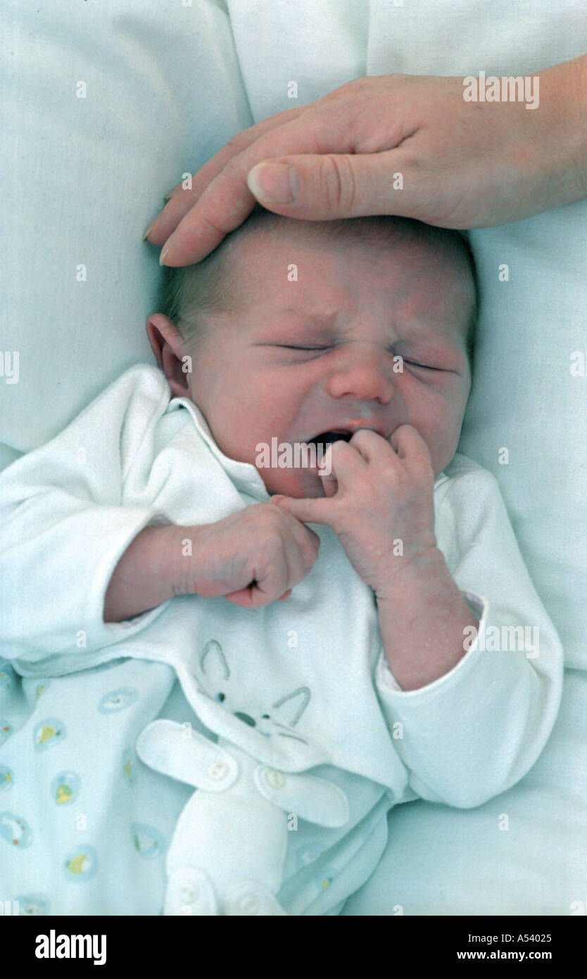 Adore comfort hi-res stock photography and images - Alamy