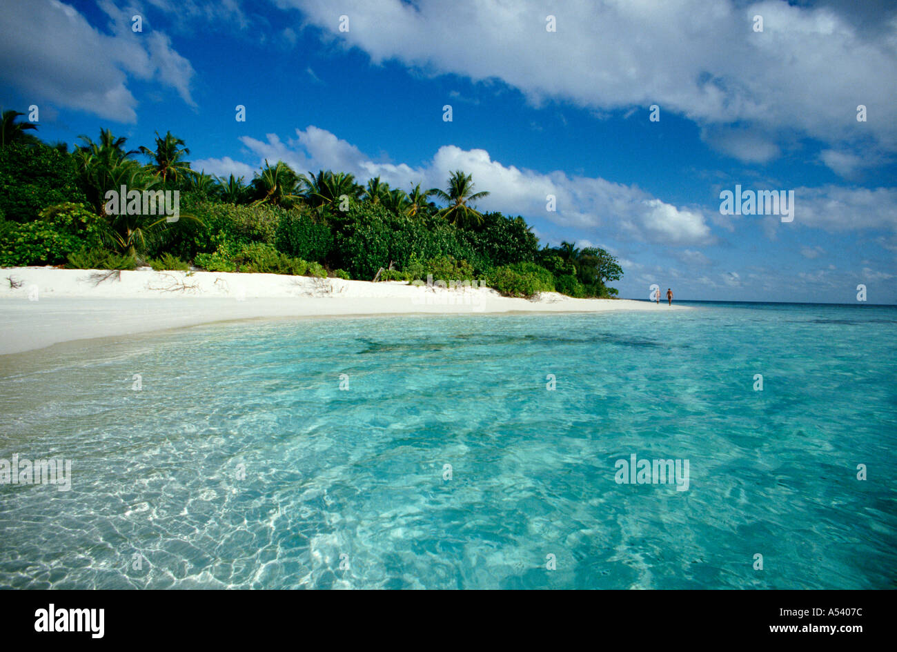Tropical beach Ihuru Island Maldives Stock Photo - Alamy