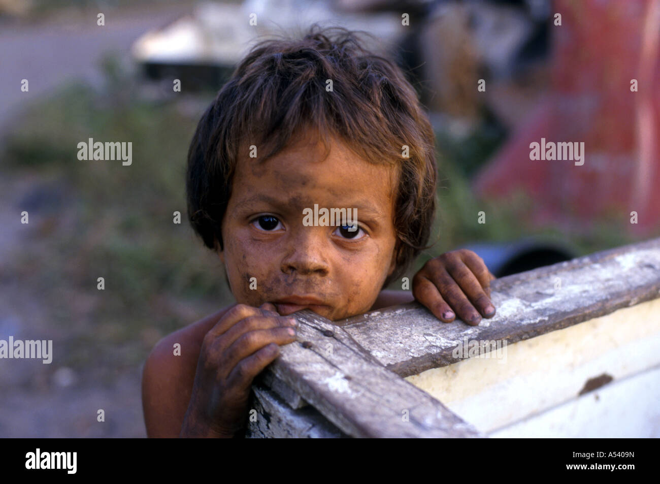 Painet ha2379 5204 brazil children child living squatter settlement ...