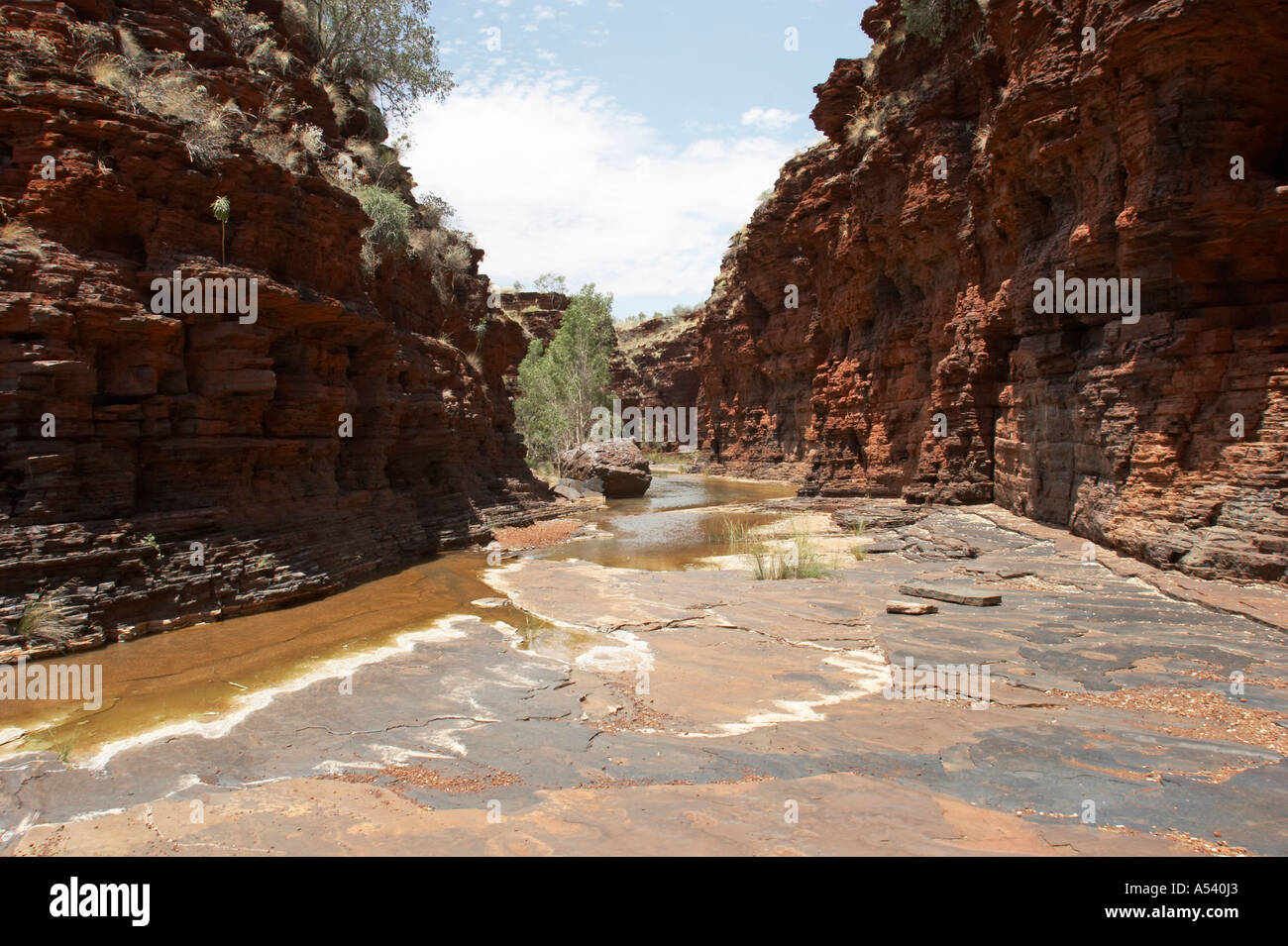 Kalamina Gorge Karijini National Park Pilbara region western australia ...