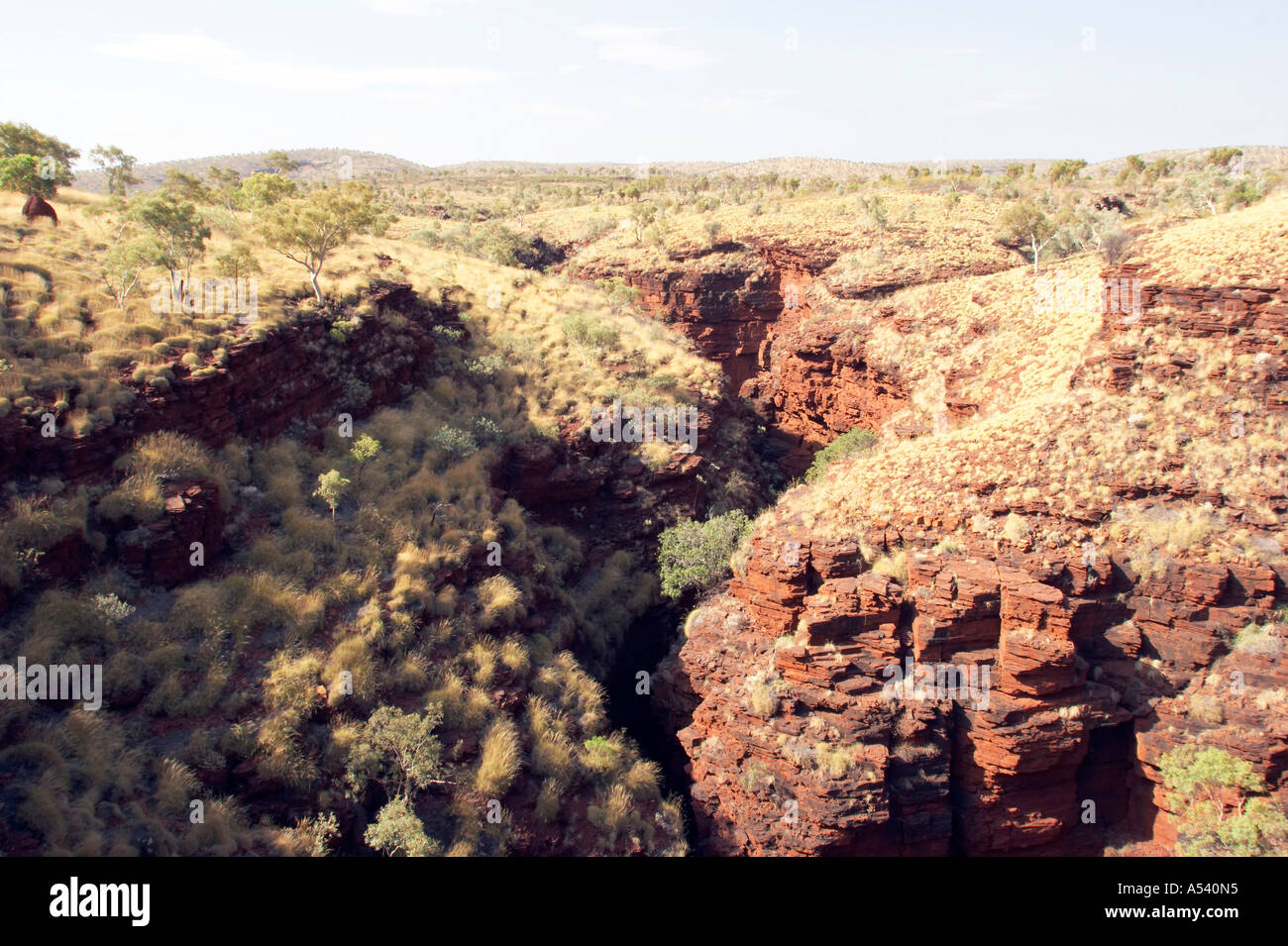 Weano Gorge and Spinifex grass Karijini National Park Pilbara region ...