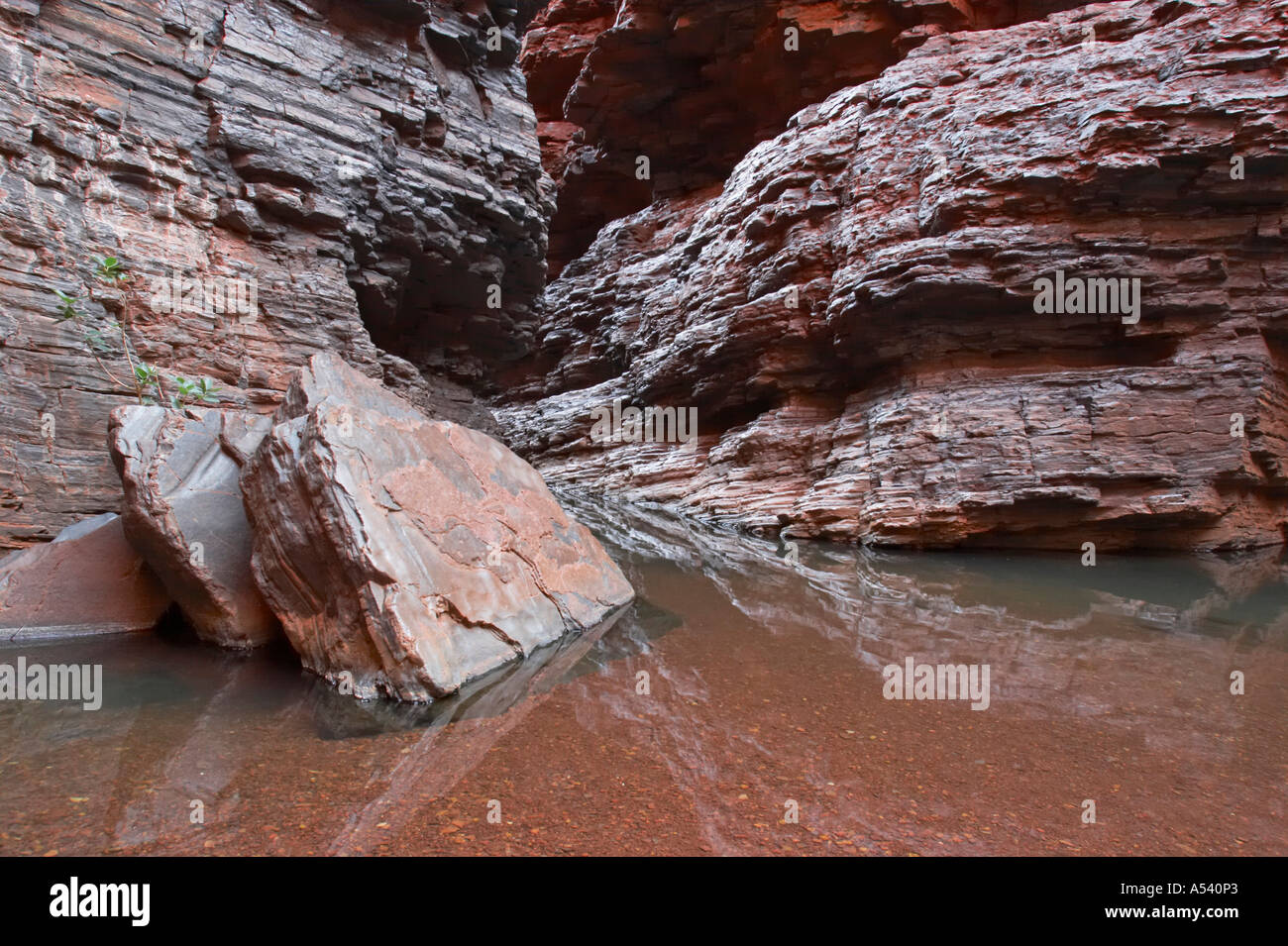 Handrail Pool in Weano Gorge Karijini National Park Pilbara region ...