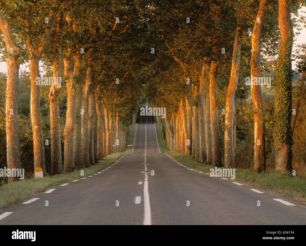 Rural countryside road in france hi-res stock photography and images ...