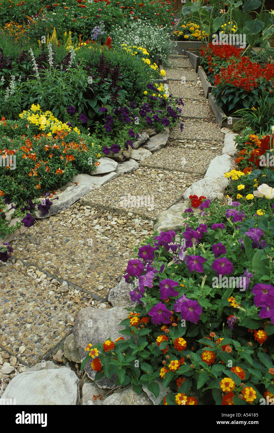 Path in annual wildflower garden, Missouri USA Stock Photo - Alamy