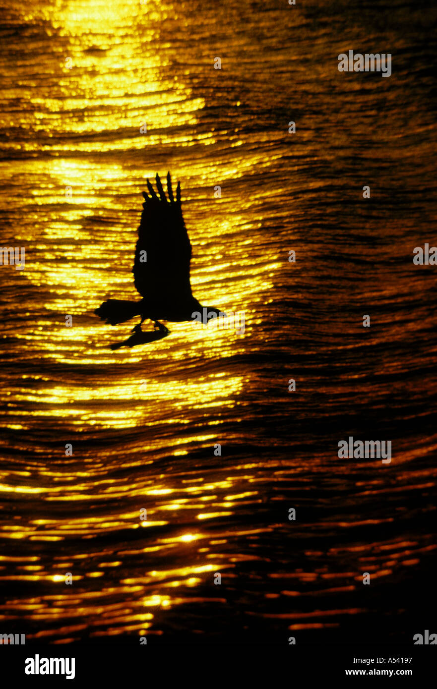 Ocean waves lit sunset hi-res stock photography and images - Alamy