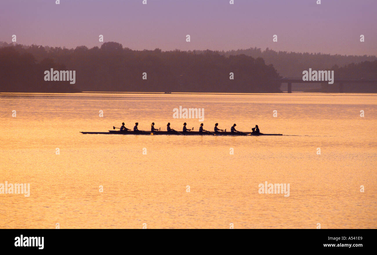 teamwork cooperation stockholms rowing club model released women team ...