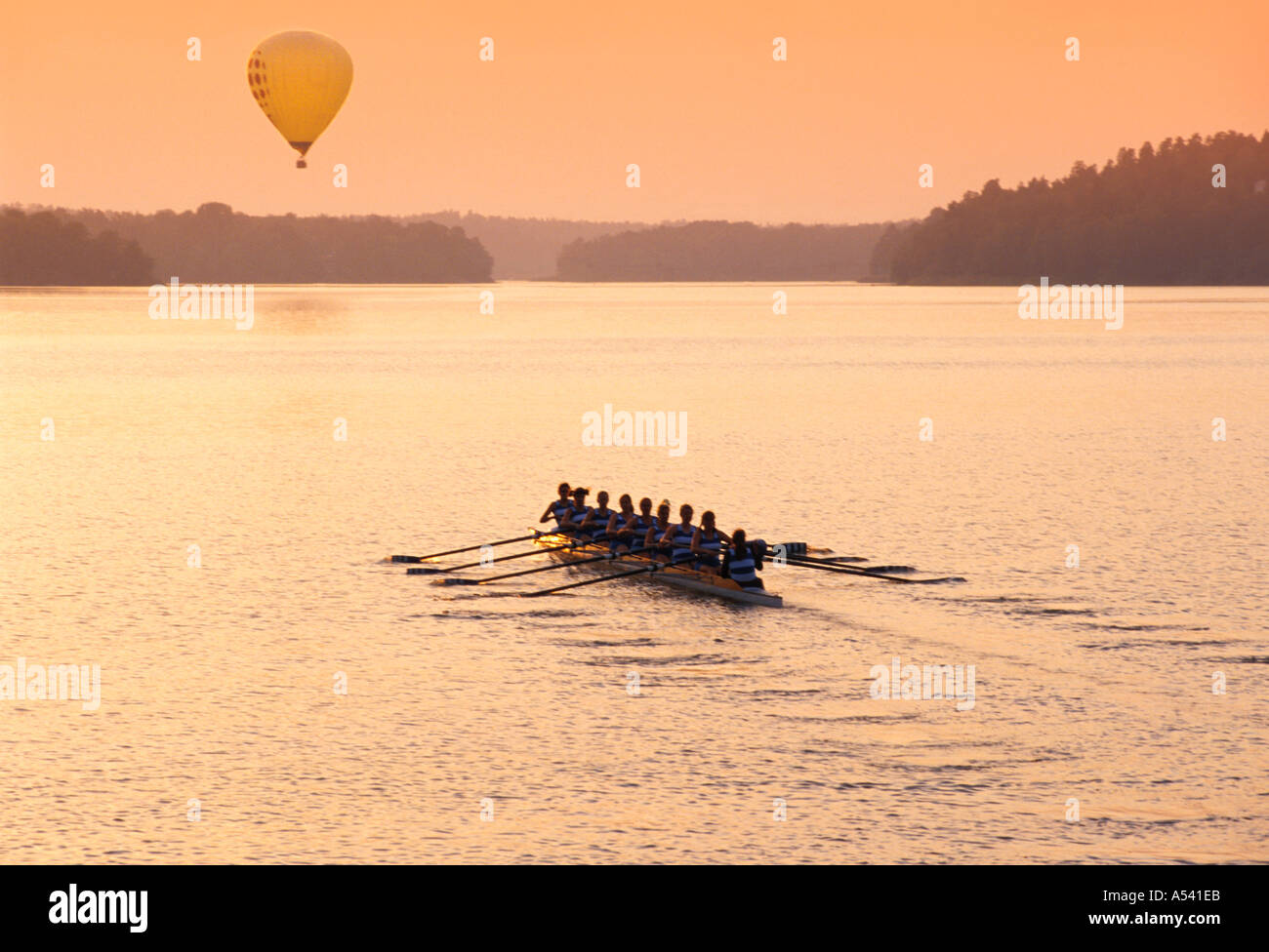 teamwork cooperation stockholms rowing club model released women team ...