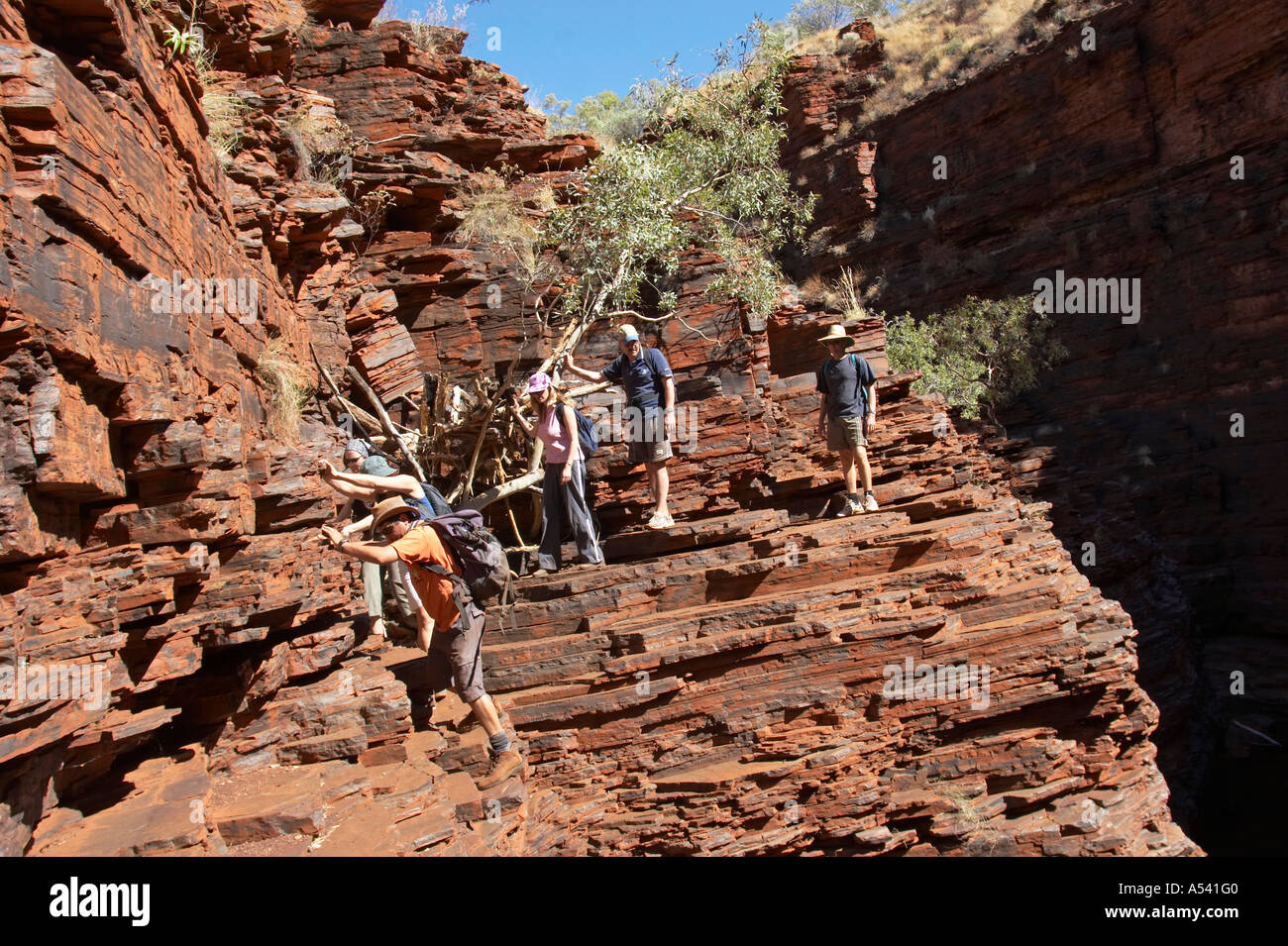 Hiking and rock climbing Hancock Gorge Karijini National Park Pilbara ...