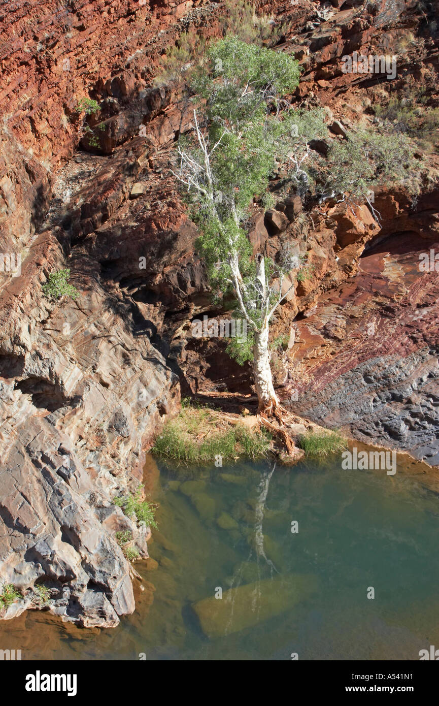 Hamersley Gorge Pilbara region western australia WA Stock Photo - Alamy
