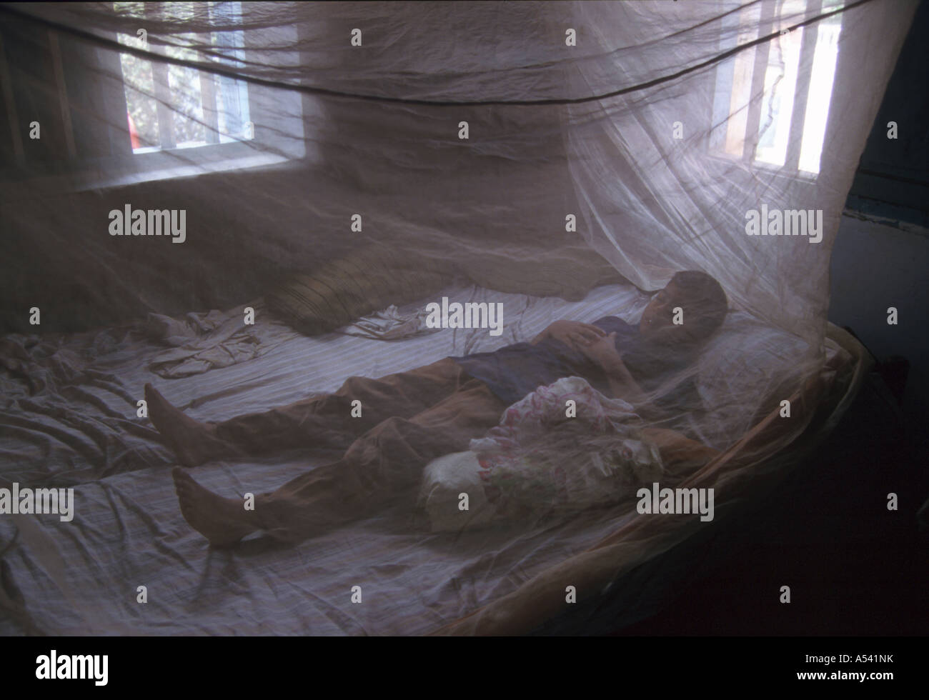 Boy under mosquito net hi-res stock photography and images - Alamy