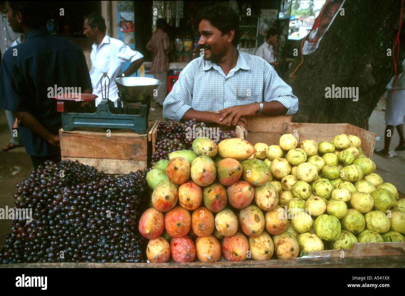 Painet ha2477 5311 india food fruit stall selling grapes mangoes guavas ...