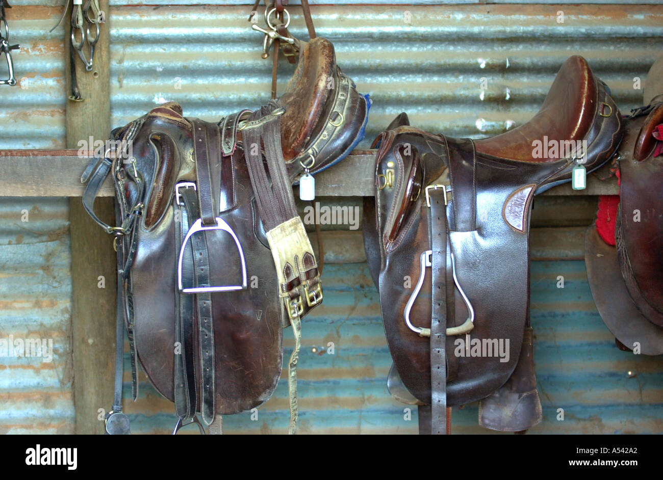 Old dusty saddle in stable hi-res stock photography and images - Alamy