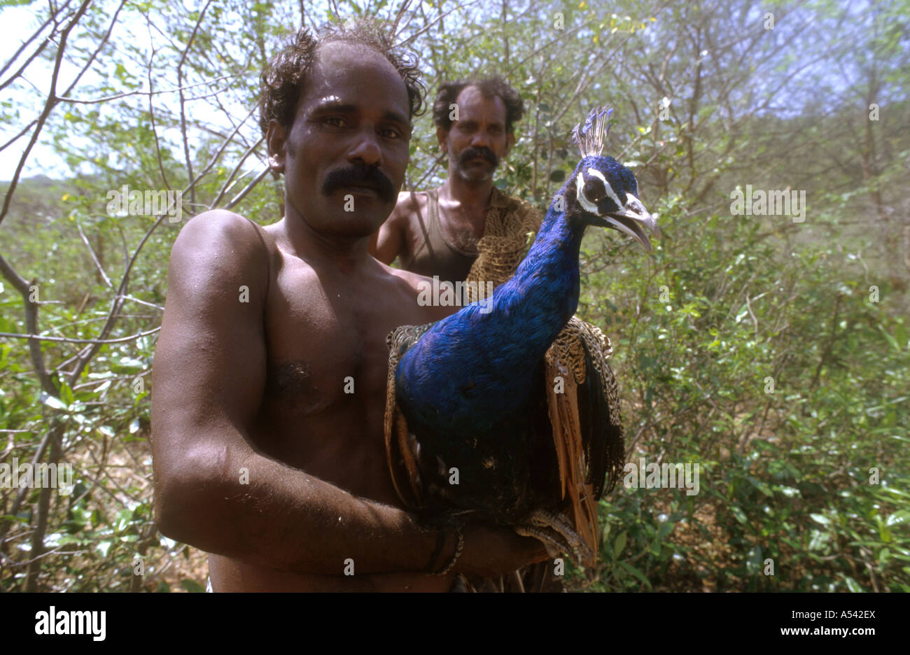 Men of india hi-res stock photography and images - Alamy