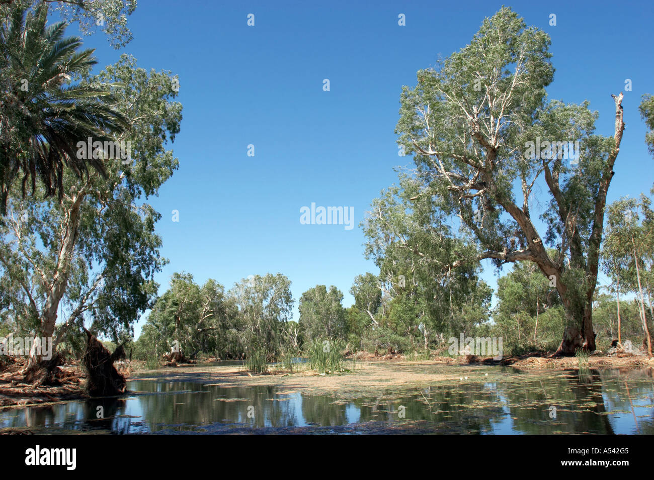 Landscape at Millstream Chichester National Park Pilbara region western ...