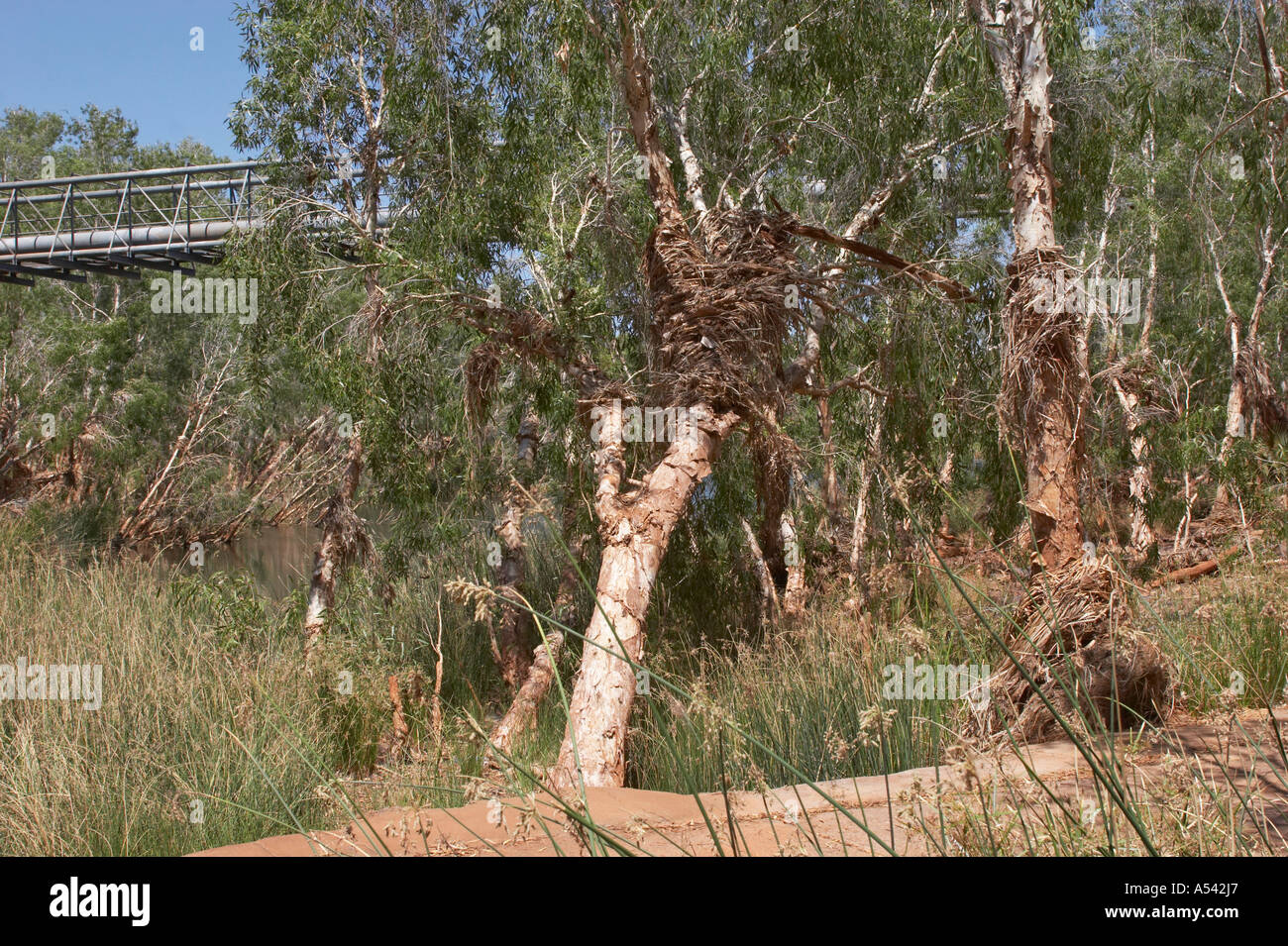Recently was a flood here at the Fortescue river Pilbara region western ...