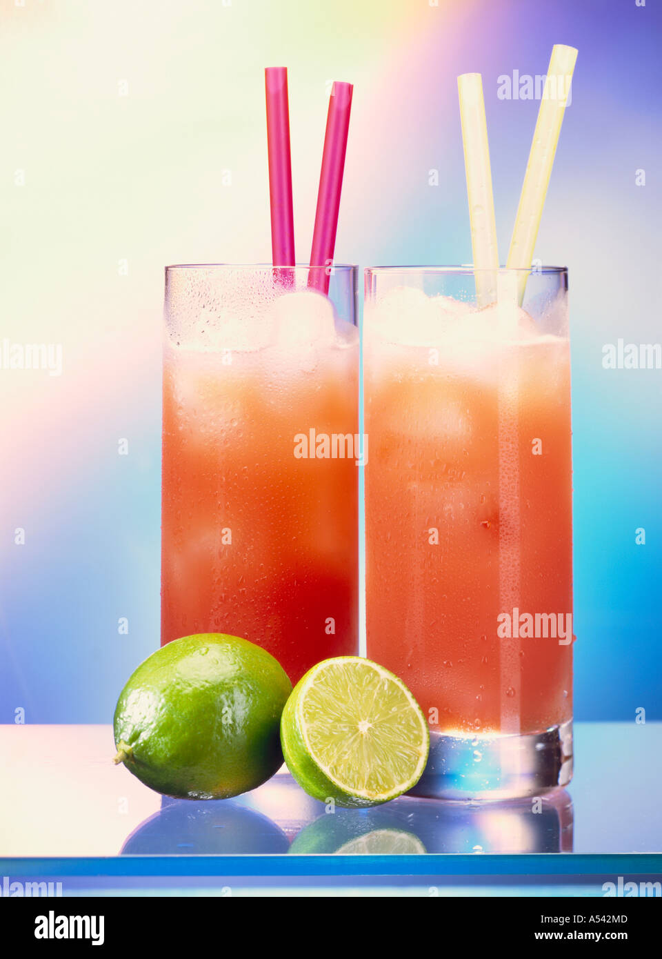 Elephant drinking alcohol hi-res stock photography and images - Alamy