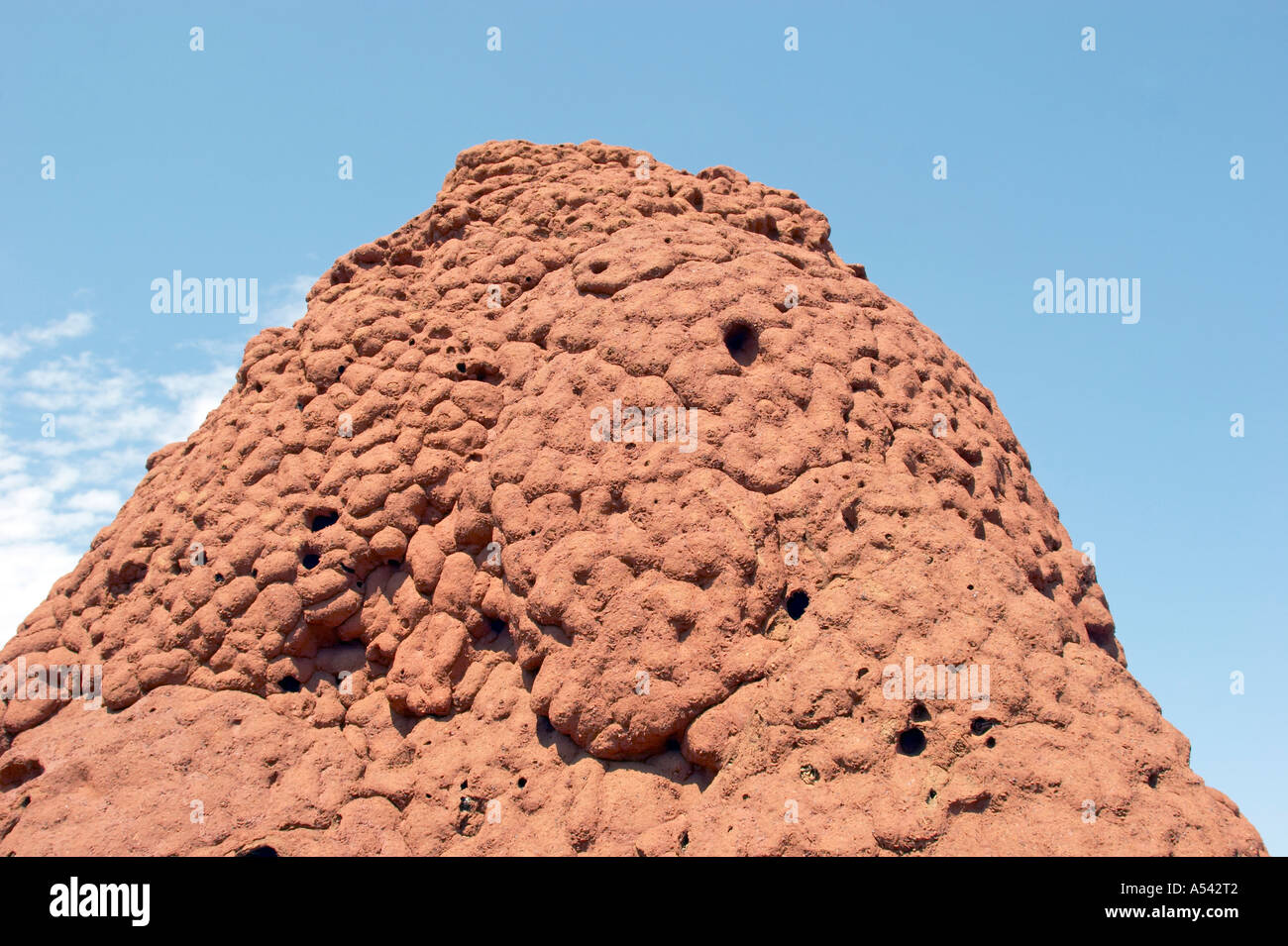 Detail of a termite hill Karijini National Park Pilbara region western ...