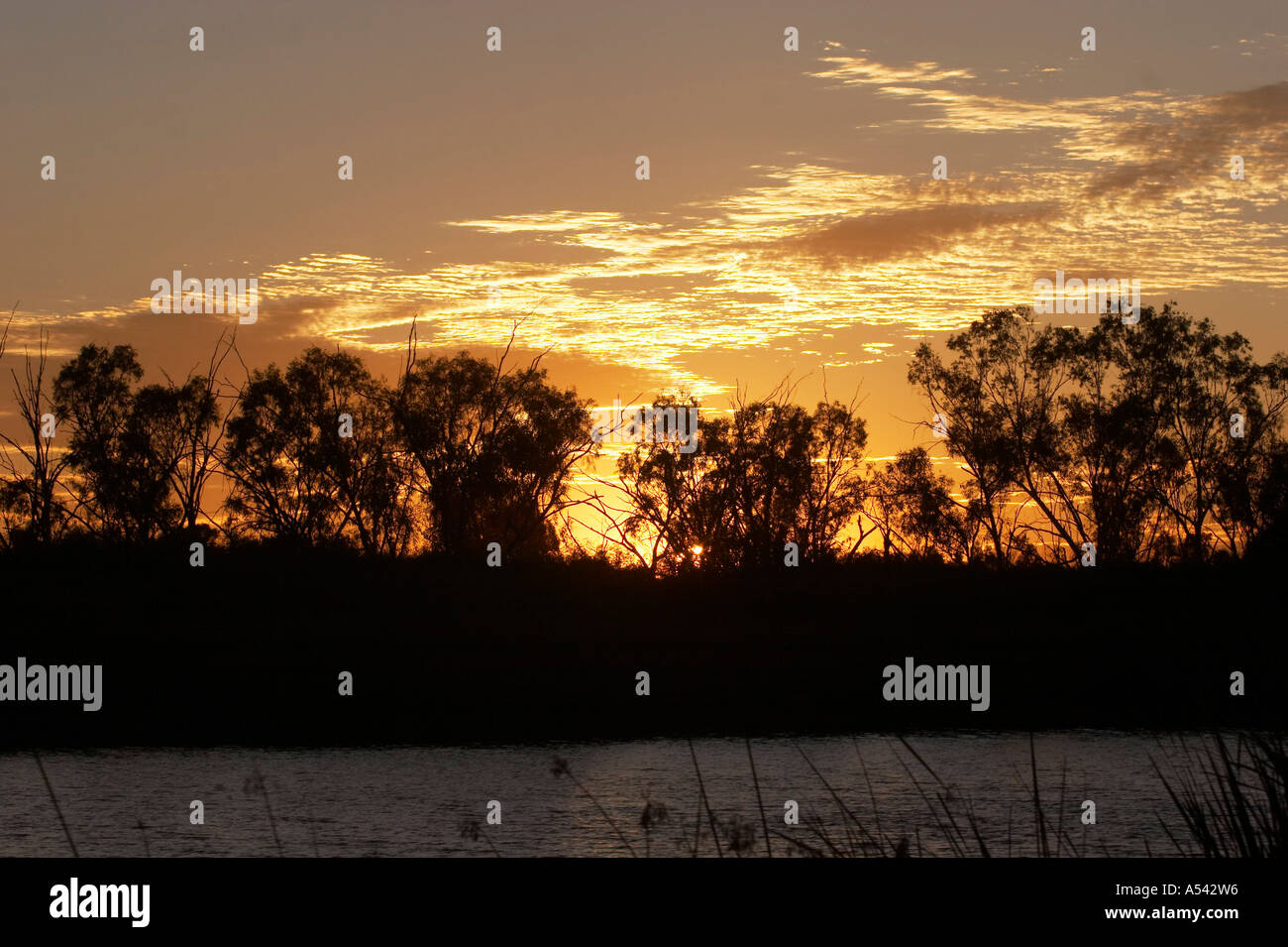 Millstream chichester national park hi-res stock photography and images ...