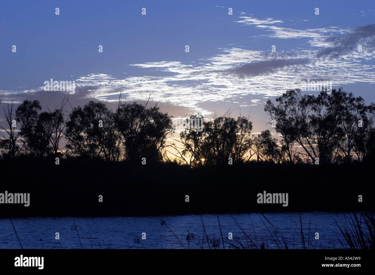 Millstream chichester national park hi-res stock photography and images ...