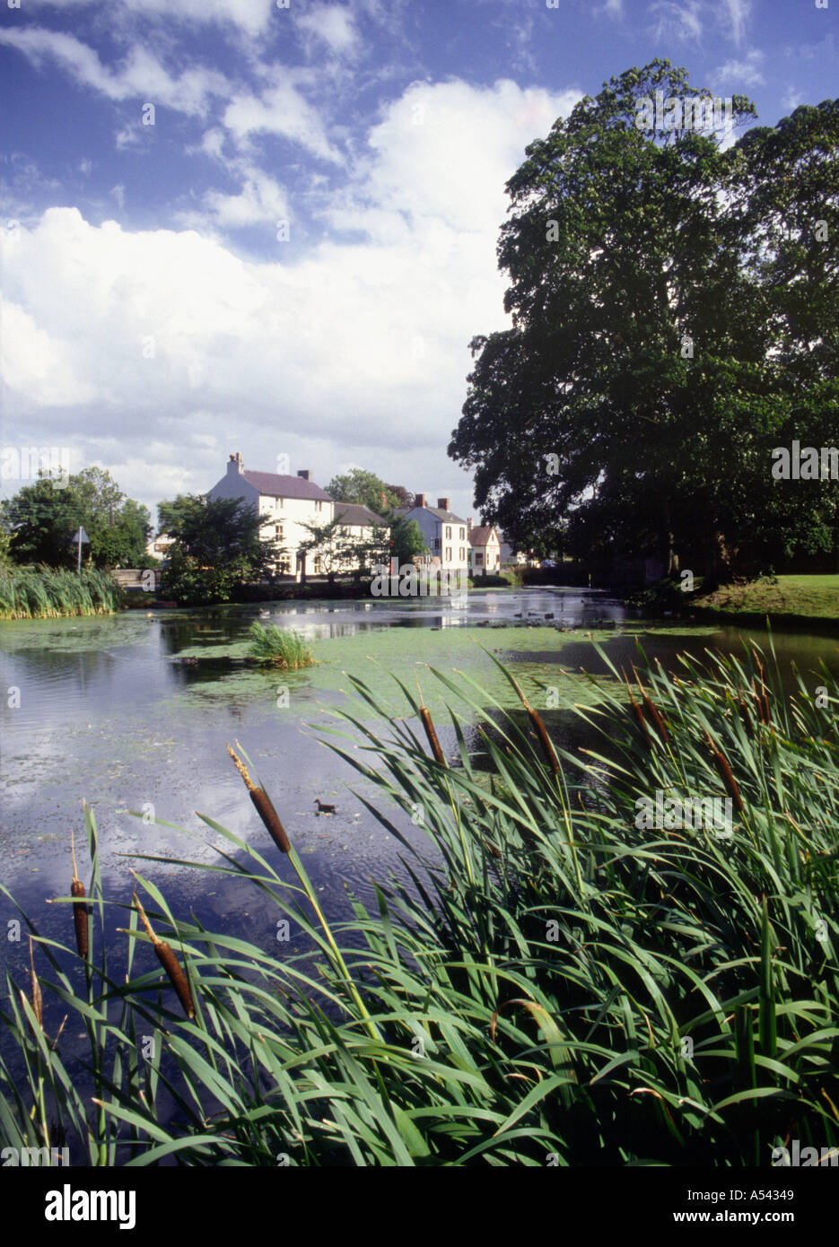 Whittington Castle Moat Whittington Shropshire England UK Europe Stock ...