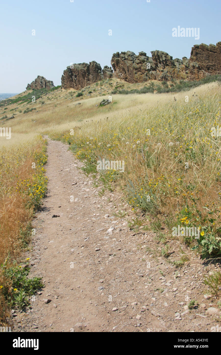 Hiking trail at Devils Backbone in Loveland Colorado Stock Photo - Alamy