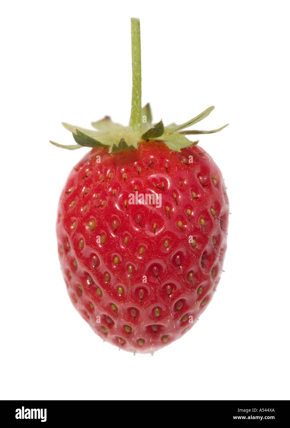 Strawberry on white background Stock Photo - Alamy
